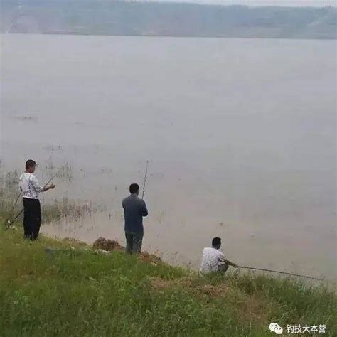 夏天钓水库哪种涨水出鱼效果好 鱼儿 水位 水域