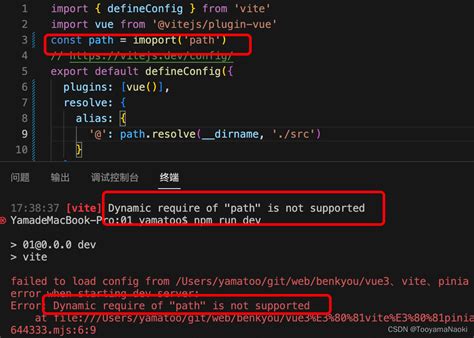 vite报 Dynamic require of path is not supported 错误 dynamic require of