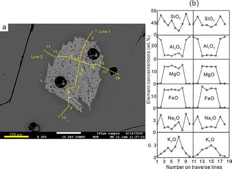 A The Location Of Two Electron Microprobe Traverses Across A