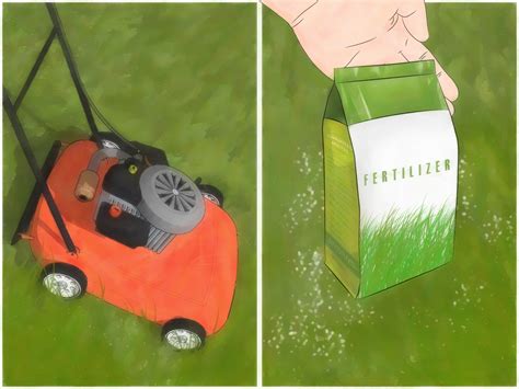 How To Replace An Old Lawn With Pictures WikiHow