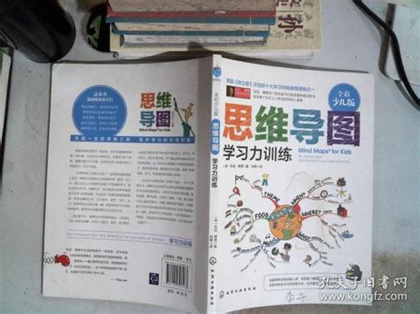 思维导图 全彩少儿版 学习力训练 英 东尼博赞 Tony Buzan 著 刘艳 译 孔夫子旧书网