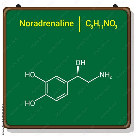 Chemical Structure Of Norepinephrine C8h11no3 Stock Vector Adobe Stock
