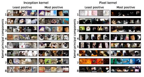 The Choice Of Similarity Function Provides A Way Of Specifying The Download Scientific Diagram