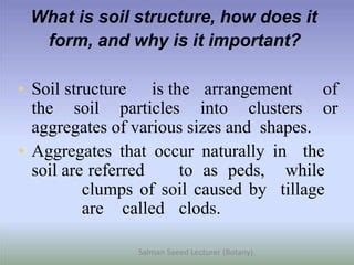 Soil Texture And Structure By Salman Saeed PPT