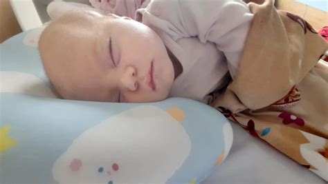 1 ლარი და 1 გაზიარებაც მნიშვნელოვანია 3 თვის ნუცას დაბადებისთანავე თავში გაჟონვა დაემართა რის