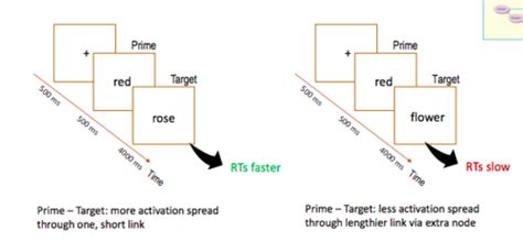 Semantic Memory Flashcards Quizlet