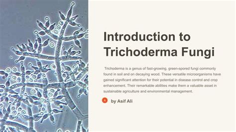 Trichoderma Fungi For Disease Introduction And Methodology Pptx