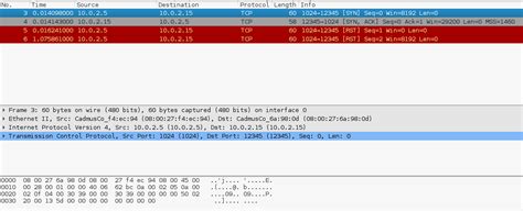 Toaster Security Tcp 103 Port Scanning With Scapy