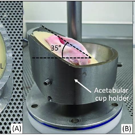 Experimental Acetabular Cup Holder Inverted Compared To Position In Download Scientific