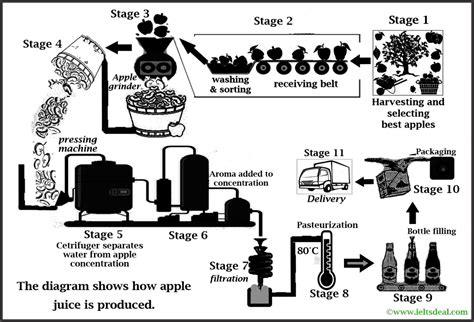 Phuket Ielts Clinic Phuketpals Ielts Writing Task 1 Process Diagram