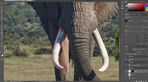 Removinghiding Objects With Layer Mask Rphotoshop