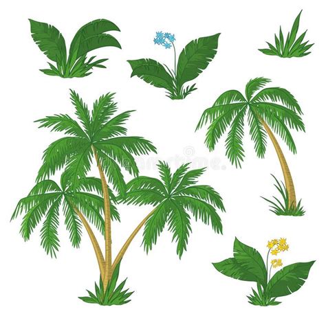 Palm Trees And Flowers On White Background