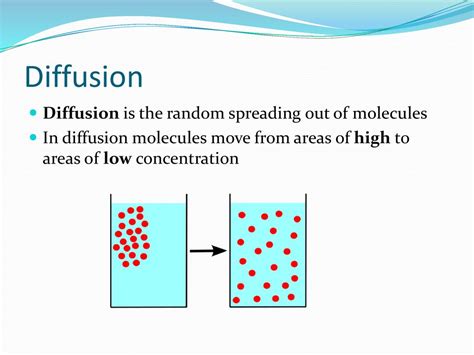 Cell Membranes Ppt Download
