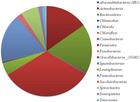 Culturing The Human Oral Microbiota Updating Methodologies And