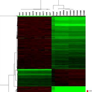 Unsupervised Hierarchical Clustering Analysis For Genes Differentially