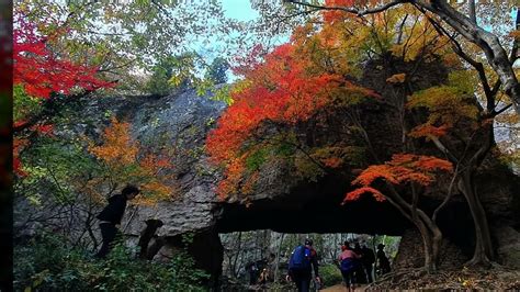 선운사 단풍 Youtube