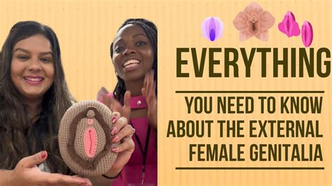 Do You Know Your External Gynae Anatomyfemale Genitalia Youtube