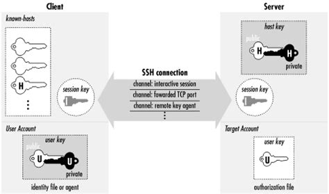The Architecture Of An SSH System SSH The Secure Shell The