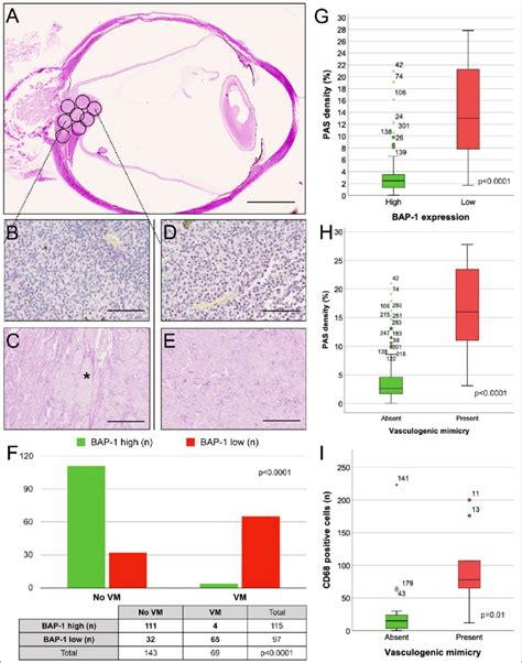 Intratumor Heterogeneity Analysis A Tumors Were Subdivided Into