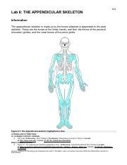 BIOL Lab Appendicular Skeleton Pdf Lab THE APPENDICULAR SKELETON Information