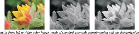 Figure 1 From An Effective Grayscale Conversion With Applications To Image Enhancement