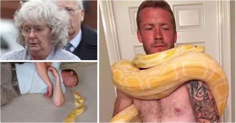 Mother Kept Python That Killed Her Son And Insists That It Loved Him Metro News