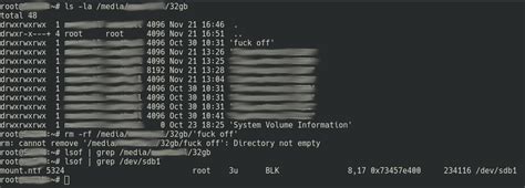 Cannot Delete Empty Directory Even From Root Suspicion A Hidden Process Is Using This File