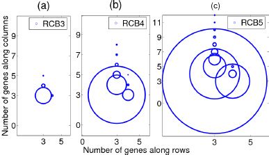 Size Distribution Of RCB3 RCB4 And RCB5 Download Scientific Diagram