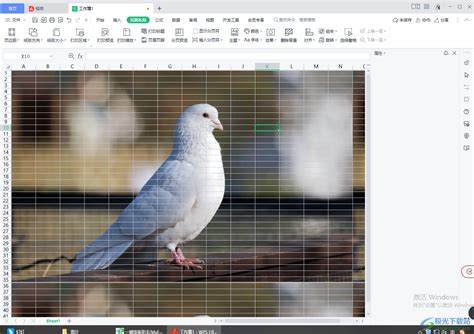 Wps Excel怎么更换表格背景 Wps Excel更换表格背景的方法 极光下载站