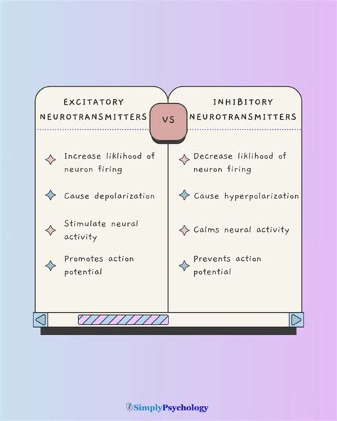 Excitatory Vs Inhibitory Neurotransmitters