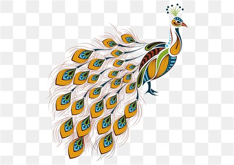 中国风水彩画孔雀图案高清PNG素材