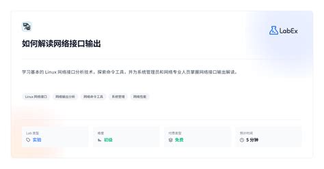如何解读网络接口输出 labex