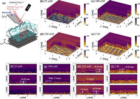 Figure 1 From Evolution Of Interfacial Hydration Structure Induced By Ion Condensation And
