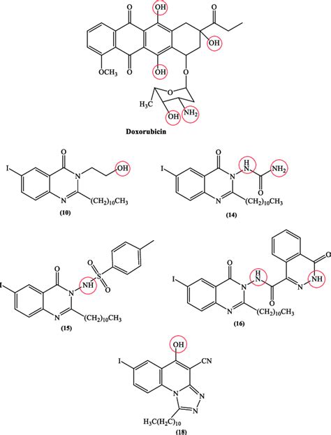 Structure Of Doxorubicin And Some Of The Designed Target Compounds Download Scientific Diagram