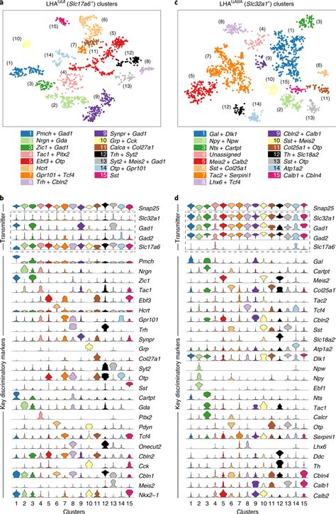 单细胞转录组文献分析方法 二 Single Cell Transcriptomic Analysis Of The Lateral Hypothalamic Area Reveals