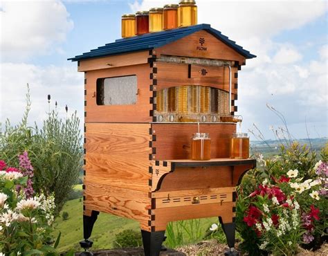 Flow Hive Review A Brutally Honest Guide That Ll Save You Money