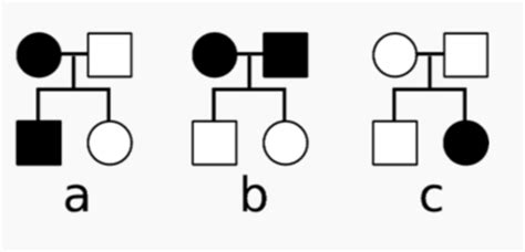 Bio Test 1 Flashcards Quizlet