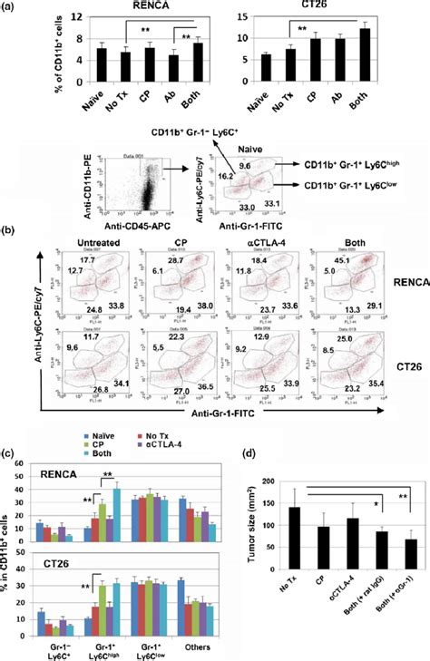 Anti Ctl Associated Protein 4 Ctla 4 Therapy Following Download