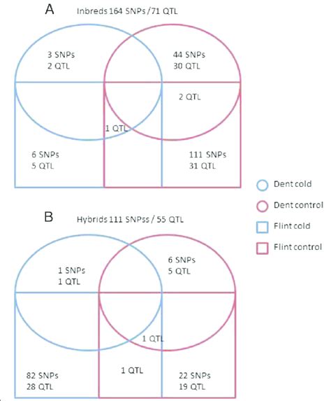 Significant Snps And Qtl Associated To Cold Tolerance Traits In Two Download Scientific Diagram