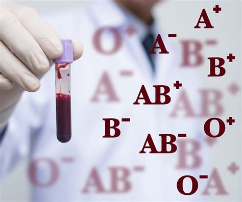 Blood Group Test London Abo Blood Type Test From £73