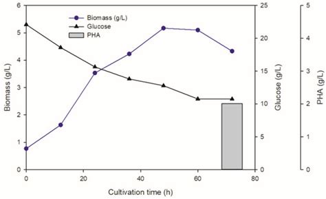 Valorization Of Dextrose From Cassava Starch And Sugarcane Vinasse As Polyhydroxyalkanoates By