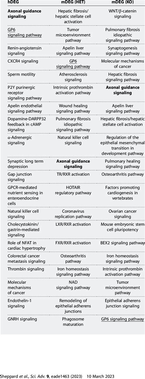 Top Ranked Canonical Pathway Enrichments Download Scientific Diagram