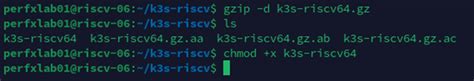 risc v公测平台发布 · 如何在sg2042上玩转k3s sg2002 riscv csdn博客