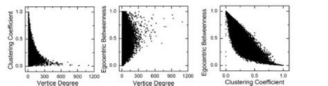 Correlations Between Vertex Degree Clustering Coefficient And