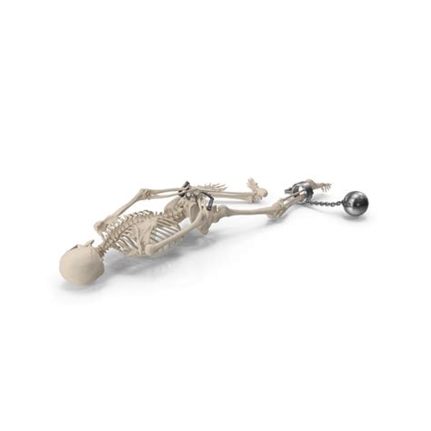 Dead Human Male Skeleton Shackled Png Images And Psds For Download Pixelsquid S12131195f