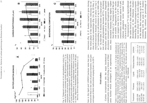 Temporal Variations Of A Phytoplankton Carbon Biomass Of The Main Download Scientific Diagram