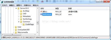arcgis中文label乱码 arcmap地类图斑与样式中的符号匹配符号为乱码 csdn博客
