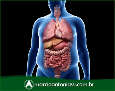 Estudo Associa Dois Tipos De Obesidade A Doenças Respiratórias Crônicas