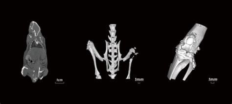 合肥锐视医疗科技有限公司，专注于高端生物医学影像和放射治疗技术的创新研发与产业化【锐视医疗】