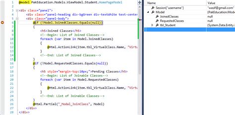 C How To Avoid From Exception On Providing Null Model Reference In